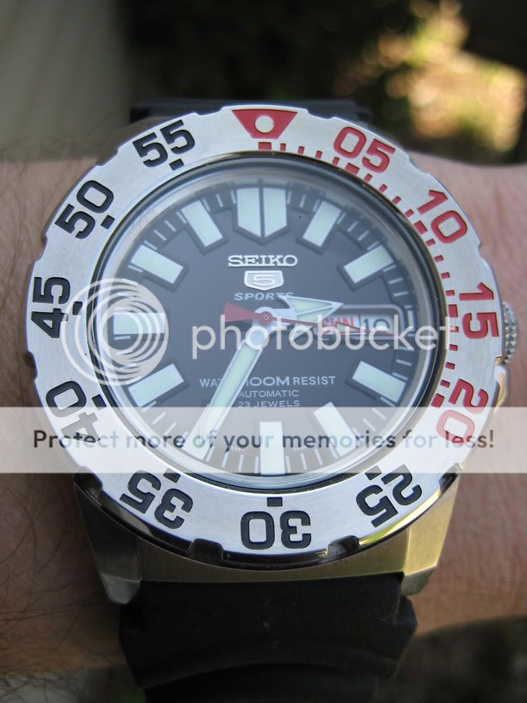 Seiko Mini-monster on Z22 strap for new look | WatchUSeek Watch Forums