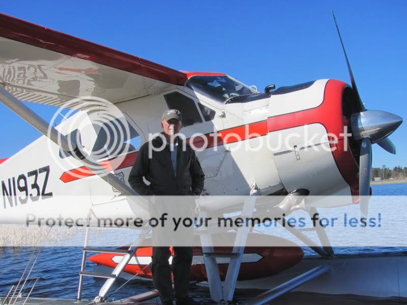 Just a Beaver | SuperCub.Org