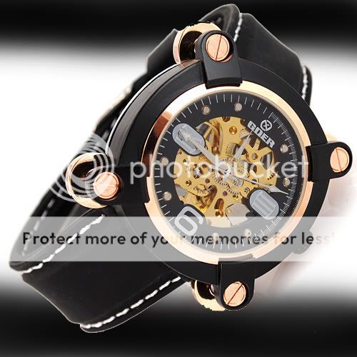 new in here! just ordered 2 new chinese mechanical watches ...