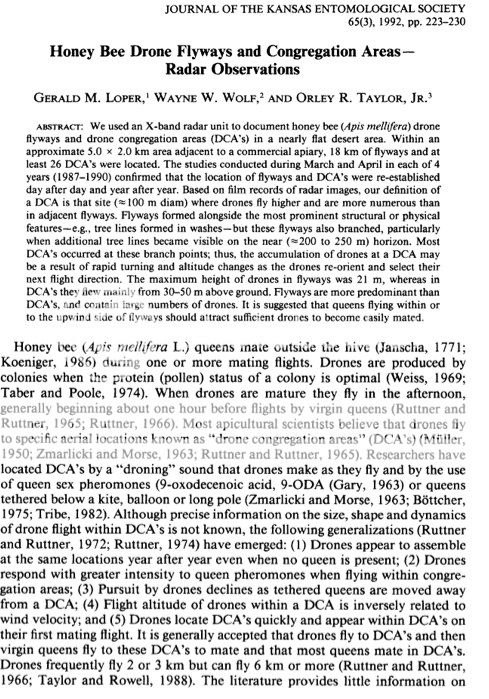 Drone congregation Area | Beesource Beekeeping Forums