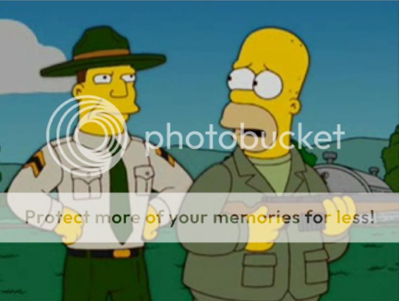 The Simpsons ?? | M14 Forum