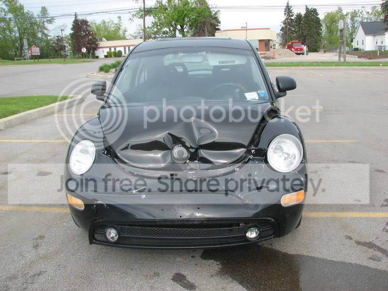 Ringo smashed :( | VW Beetle Forum