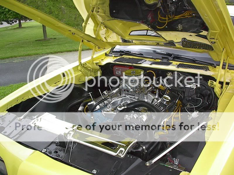Engine Bay Pics | Firebird Nation