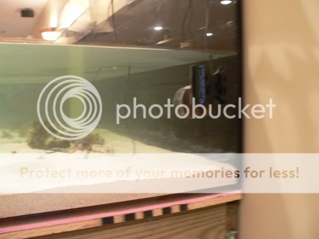 internal or external overflow? | Reef Central Online Community