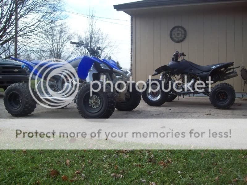 Honda Dave and Sugar my 06 PWP type-S | Acura RSX, ILX and Honda EP3 Forum