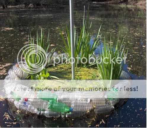 Floating Water Purifier | Hurricane Candice