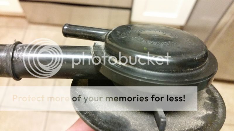 My 01 Solar Yellow IS300 | Lexus IS Forum